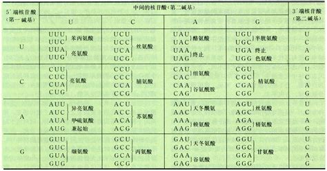 遗传密码 智汇三农