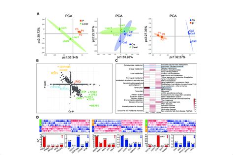 Mass Spectrometric Analysis About Proteomics Characterization Of Mcrc Download Scientific