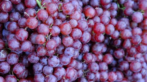 Scopri La Verità Luva Fa Ingrassare O Aiuta A Dimagrire I Diritti