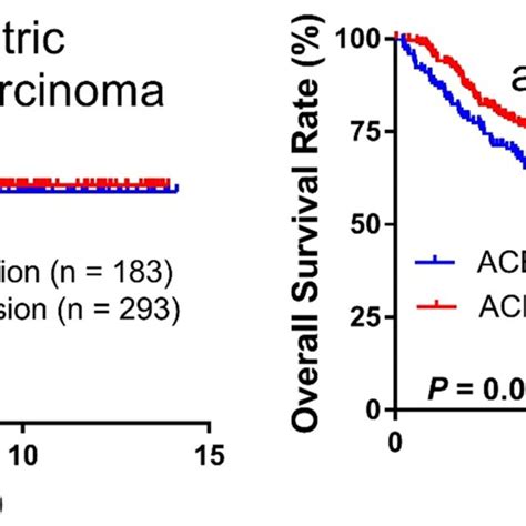Alteration Of Ace2 Protein Expression In Common Malignancies By