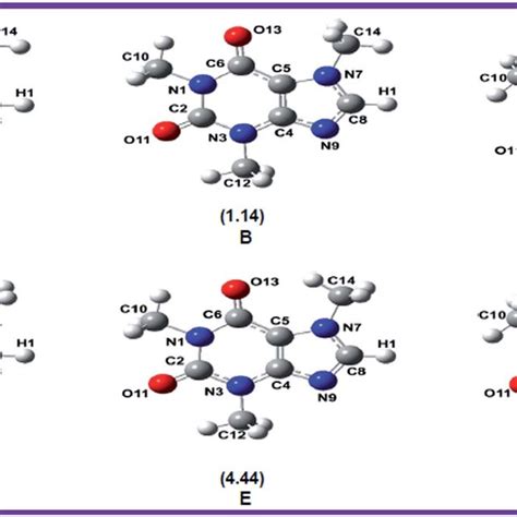 Optimized Structures And Relative Energies Kj Mol À1 Of The