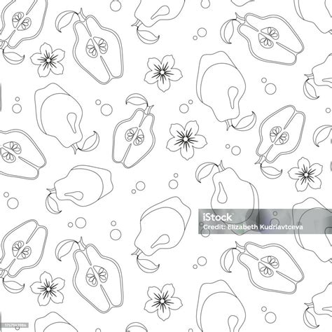 전체 모과가 반으로 자른 완벽 한 채색 패턴 꽃 흰색 배경에 다른 원 0명에 대한 스톡 벡터 아트 및 기타 이미지 0명 개발 건강한 식생활 Istock