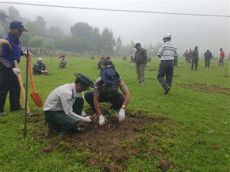မိုင်းရှူးမြို့နယ်၊ ရတနာမြေ တောင်ပေါ် တွင် ၂၀၂၄ ခုနှစ်၊ မိုးရာသီသစ်ပင်စိုက်ပျိုးပွဲတော်ကျင်းပ