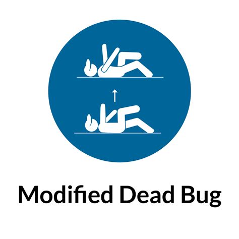 Modified Dead Bug Rapid Access Clinics For Low Back Pain