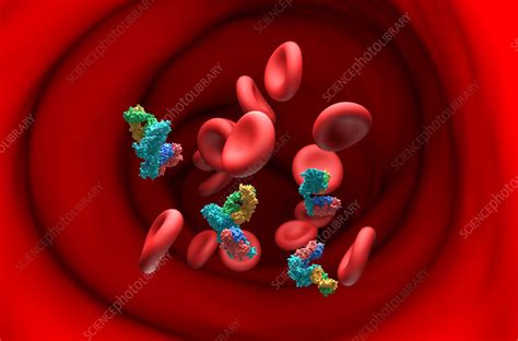 Monoclonal Antibody Therapy For Breast Cancer Illustration Stock