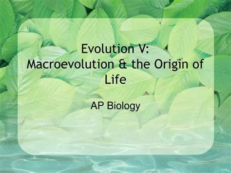 PPT Evolution V Macroevolution The Origin Of Life PowerPoint Presentation ID