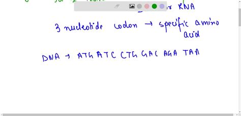 Solved Explain What The Genetic Code Is Given The Following Coding