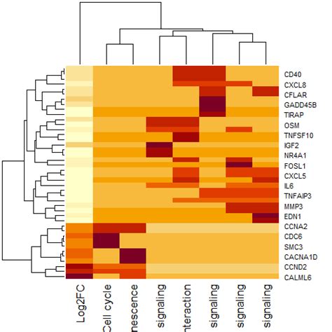 R Plotting A Heat Map Of Binary And Continious Values Stack Overflow