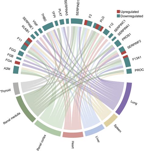 These Pretty Chord Diagrams Were All Made By Matlab