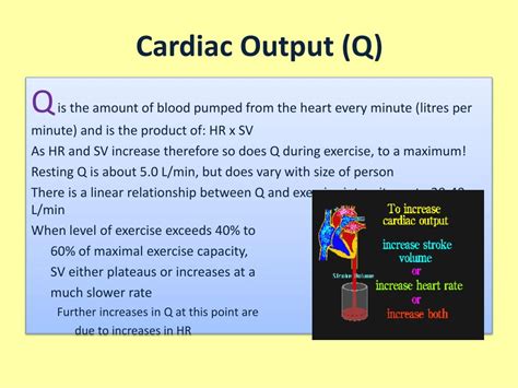 PPT Cardiovascular Responses To Acute Exercise PowerPoint Presentation ID 1835472