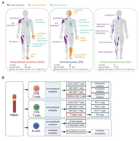 Overview Of The Patient Cohort And Analyzed Flow Cytometry Panels A