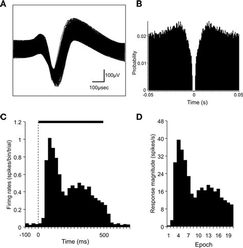 Identification Of Superior Colliculus Sc Neurons And The Analysis Of