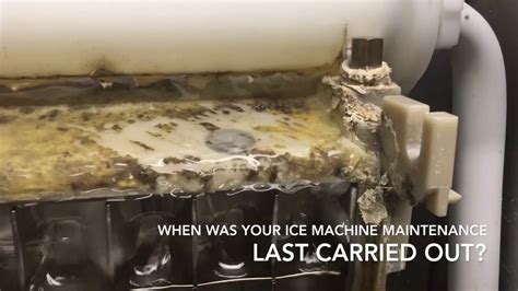 Calcium In Ice Maker At Lula Atchley Blog