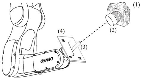 Automated Measurement Of Geometric Features In Curvilinear Structures