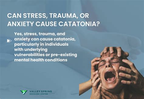 Catatonia Definition Symptoms Causes And Treatment