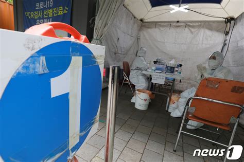 경북 445명 신규 확진 전주 대비 79명↑사망 1명 추가 네이트 뉴스