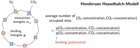 Tropical Bases — Mathrepo 2025 04 17 Documentation