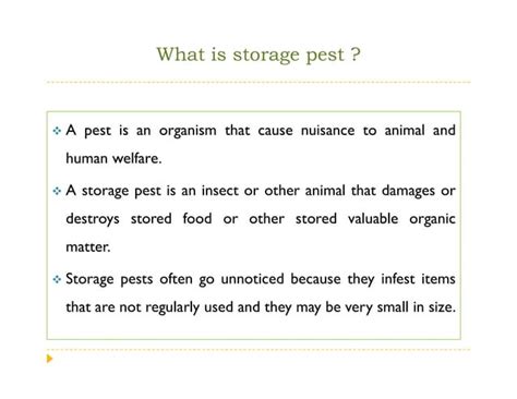 Storage Grain Pests Secondary Storage Pests Pdf