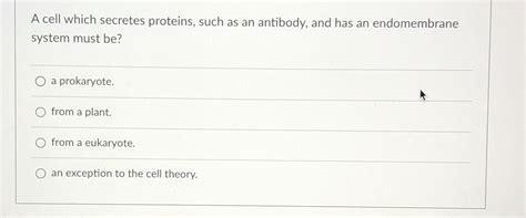Solved A Cell Which Secretes Proteins Such As An Antibody Chegg
