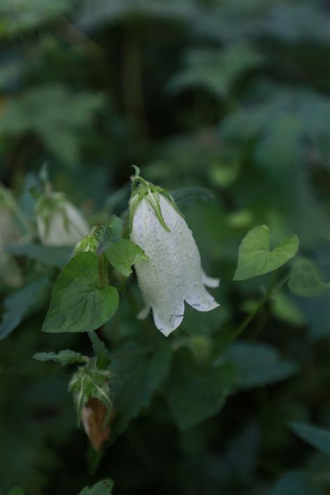 2019년 직장에서 힘들었을 때 태백으로 여행을 간적이 있습니다 태백은 우리 나라 최고 고지대에 위치하는 도시로서 과거 석탄 생산지로 유명한 곳이었이기도 합니다 사진 속