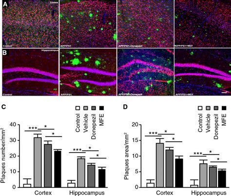Mfe Reduces The Aβ Level In The Cortex And Hippocampus Of Appps1 Mice Download Scientific