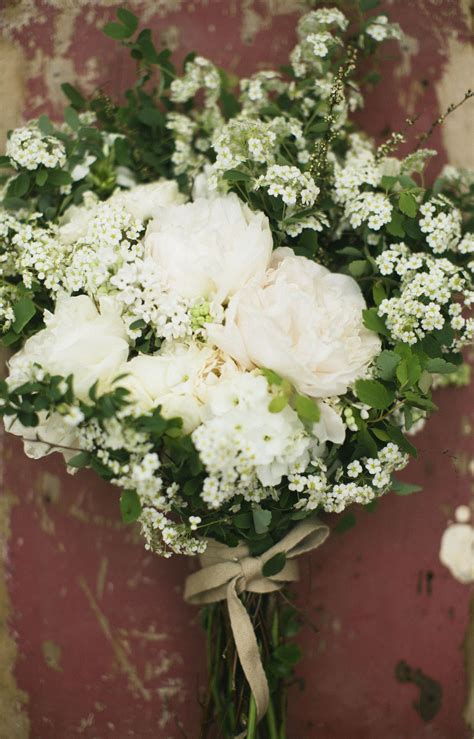 Bunga Peacock Putih Jason May