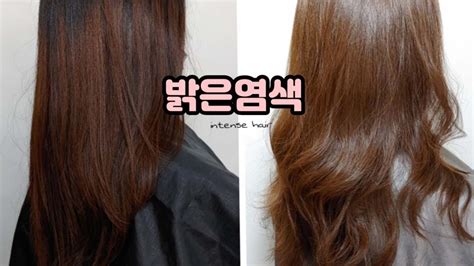 한톤 밝은 갈색염색으로 여름 산뜻하게 ~ 대전미용실 인텐즈헤어 Youtube