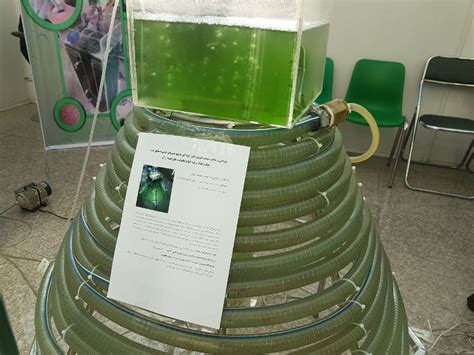 Native Photobioreactor For Microalgae Culture Preparation Of Metabolites Irna English