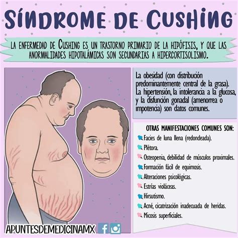 Pin De Andrea Otero En Aparato Locomotor Abreviaturas De Enfermeria