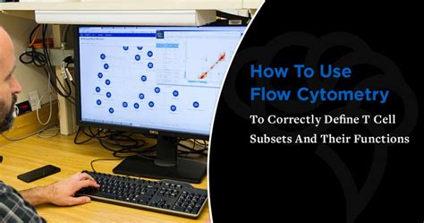 How To Use Flow Cytometry To Correctly Define T Cell Subsets And Their Functions ExpertCytometry