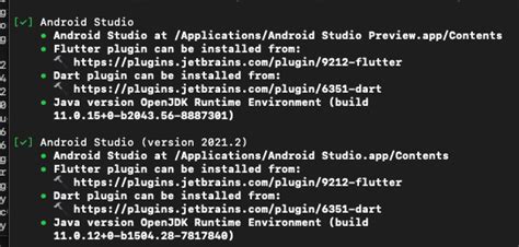 Unable To Determine Bundled Java Version Exploring The Challenges