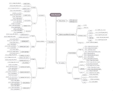 Detailed Structure Drawing Of The Data Record Download Scientific
