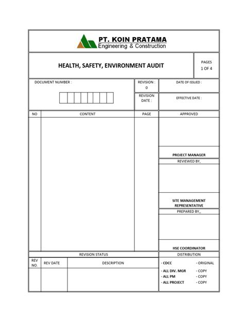 7 25 Hse Audit System Rv Pdf Audit Internal Audit