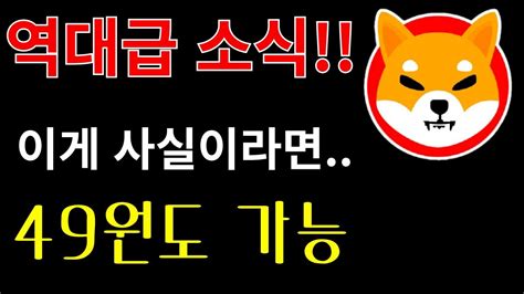 시바이누 코인 역대급 소식 이게 사실이라면 49원도 가능 시바이누전망 도지코인 비트코인 이더리움 코인전망 Youtube