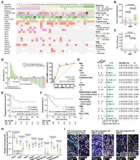 PI K AKT mTOR通路的突变可预测dMMR MSI H型胃腺癌的免疫细胞浸润和免疫疗法的疗效 知乎