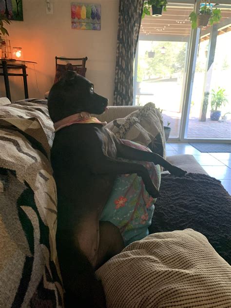 it took me a month but i finally finished my x files cross stitch