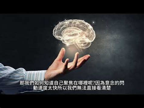 宇宙裡沒有意外一切都是因緣和合的持續聚焦 YouTube
