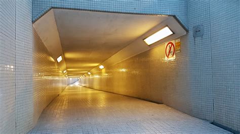 Please Push Your Bicycle Across The Underpass Some People Juggle Geese
