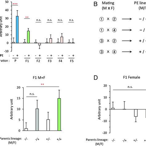 Transgenerational Inheritance Of Magnetic Imprinting And Sex