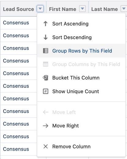 Salesforce Version 11 Building Custom Reports