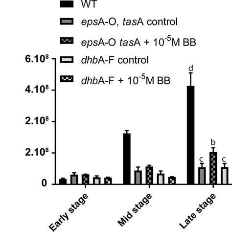 Effect Of Bacillibactin Addition On The Growth Of B Subtilis Wt And