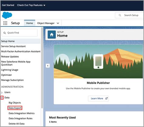 export from salesforce lightning goodsync