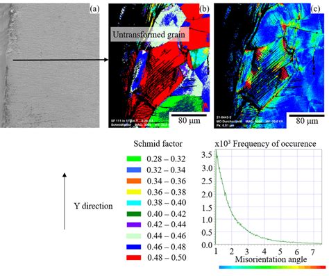 Ebsd Analysis Of A Specimen Cut At −110 • C A Sem Picture B