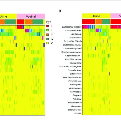 Heatmap Displaying The Relative Abundance Of The 25 Most Abundant