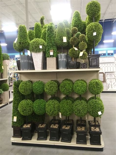 How To Make A Boxwood Topiary Artofit