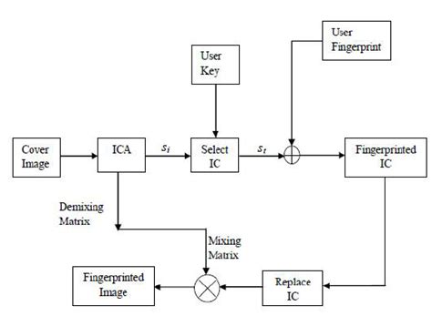 Fingerprint Embedding Process Download Scientific Diagram