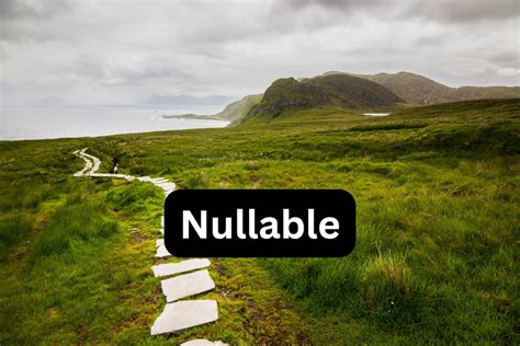 5 Examples You Must Read For Nullable Types In Net By Ivo Manolov Level Up Coding