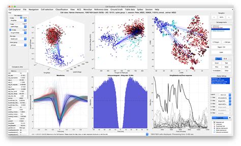 Cellexplorer Framework For Single Cell Classification Buzsaki Lab