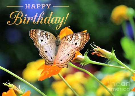 Clipart Happy Birthday Butterflies Online Birthday Cards Whimsical