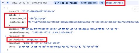 cannot send json payload with logging label when executed in cloud